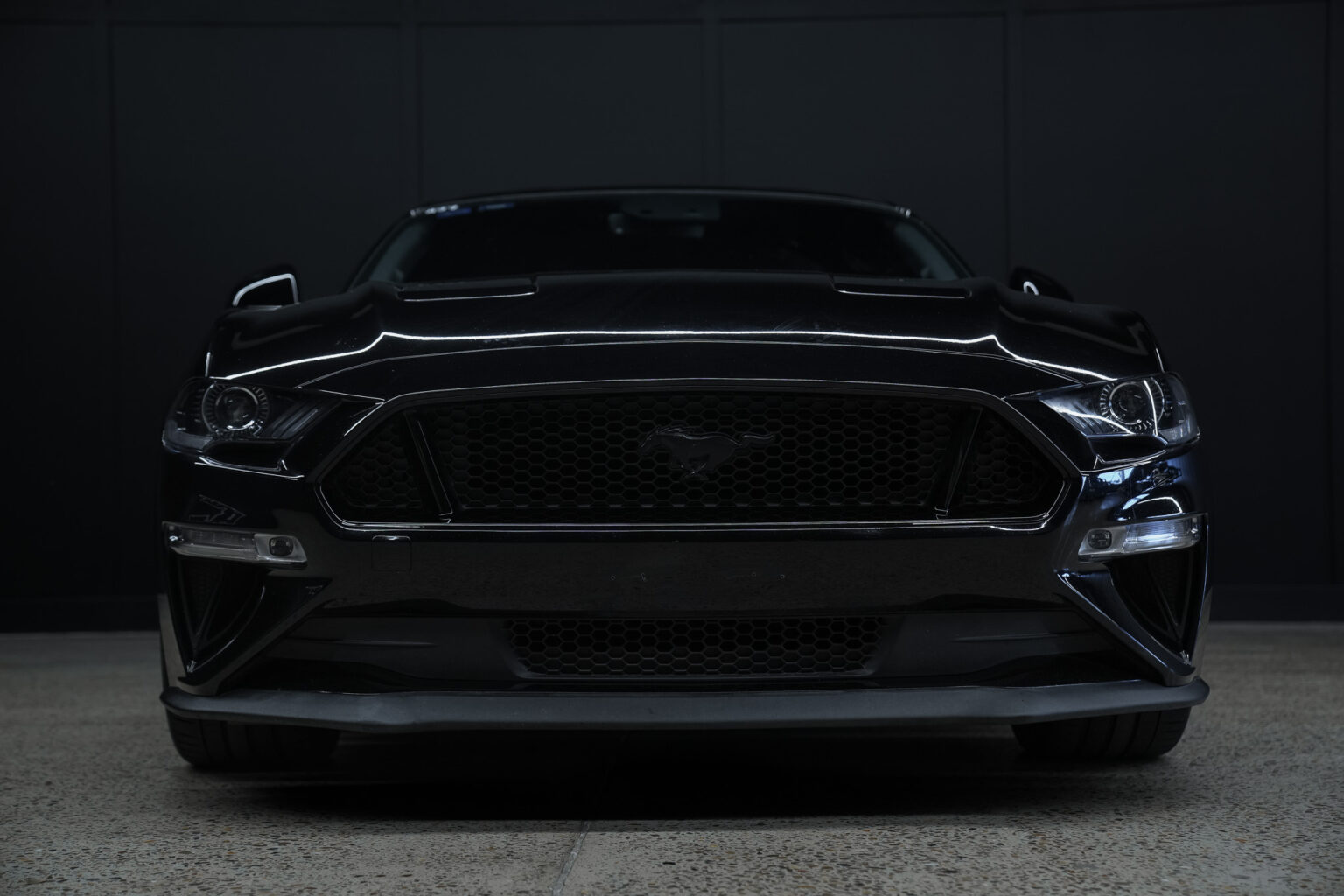 FORD FN GT MUSTANG - Play Performance